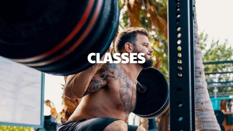 Classes – Muscles / Lungs